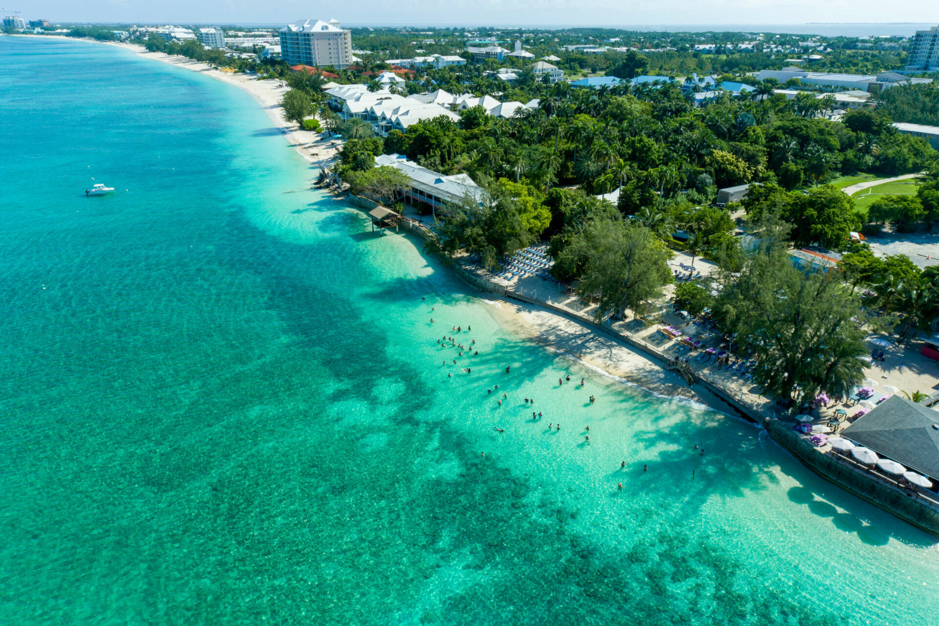 12 key findings from the Seven Mile Beach erosion study - Cayman Compass