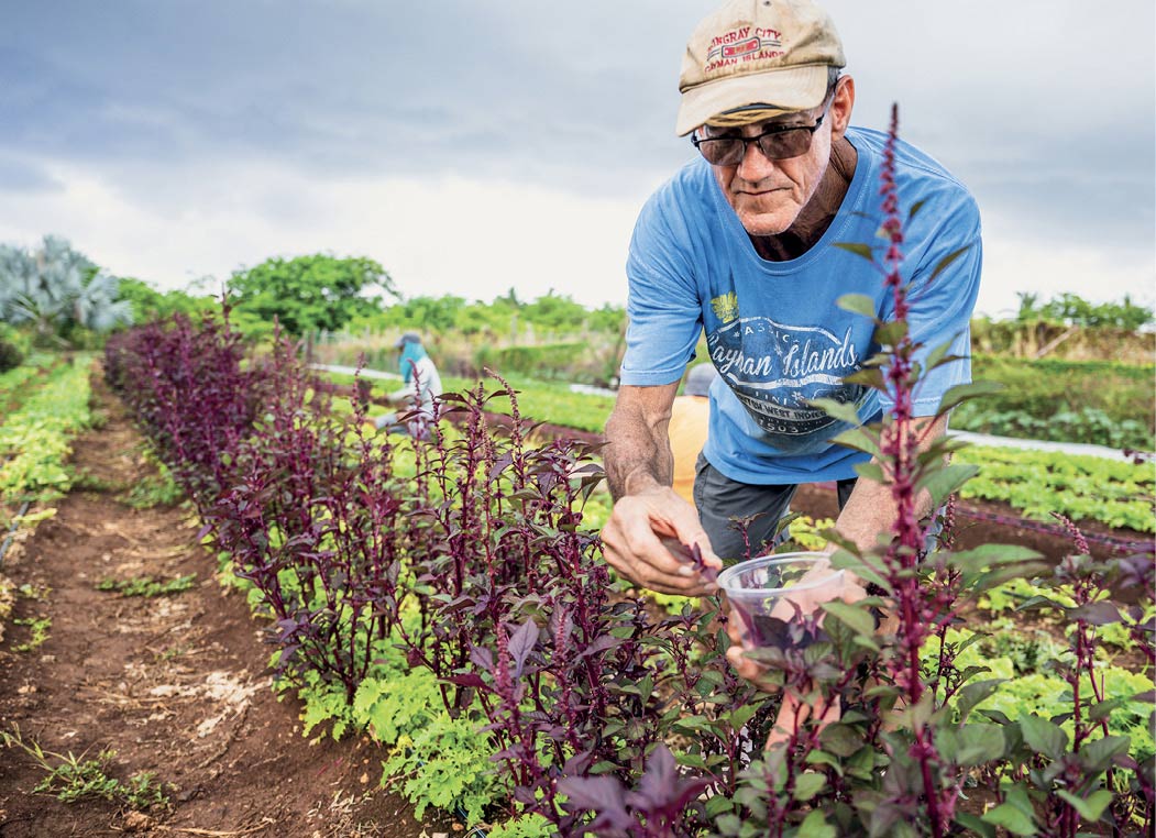 Chef_Sara_Mair_Doak-20 - Cayman Compass