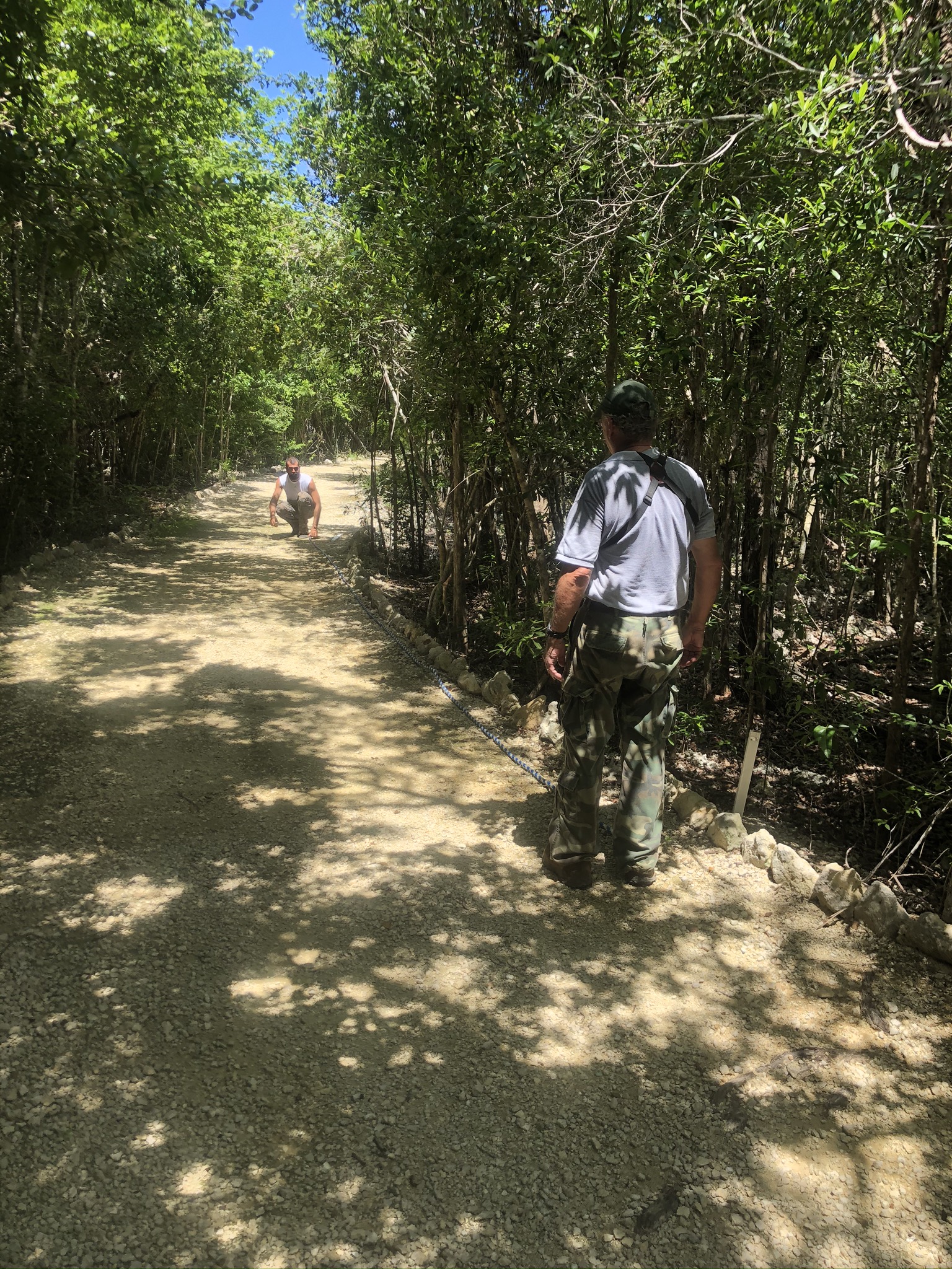 Botanic Park installs permanent survey plots for conservation with UK ...