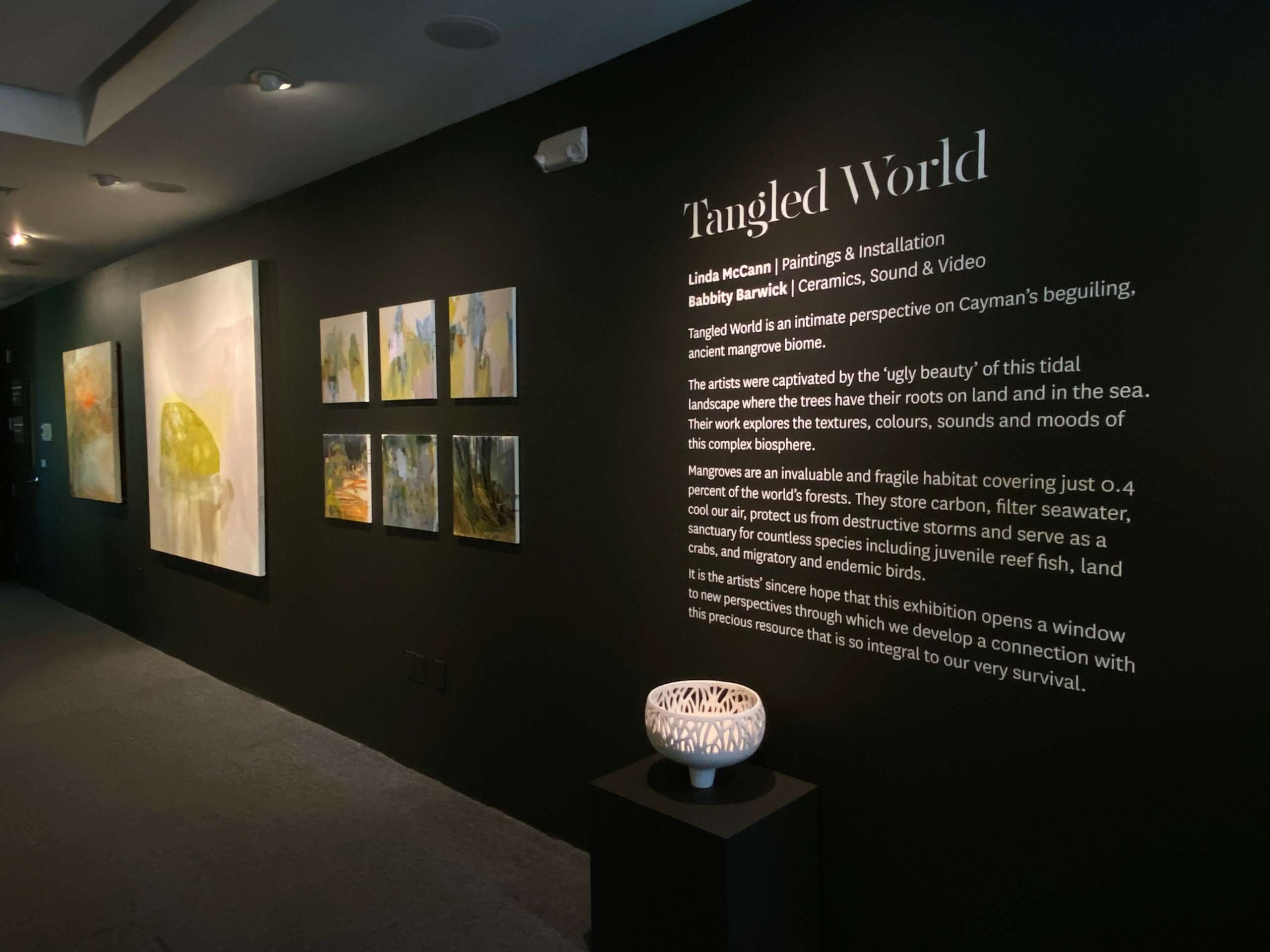 National Gallery celebrates mangroves in new exhibition ‘Tangled World ...