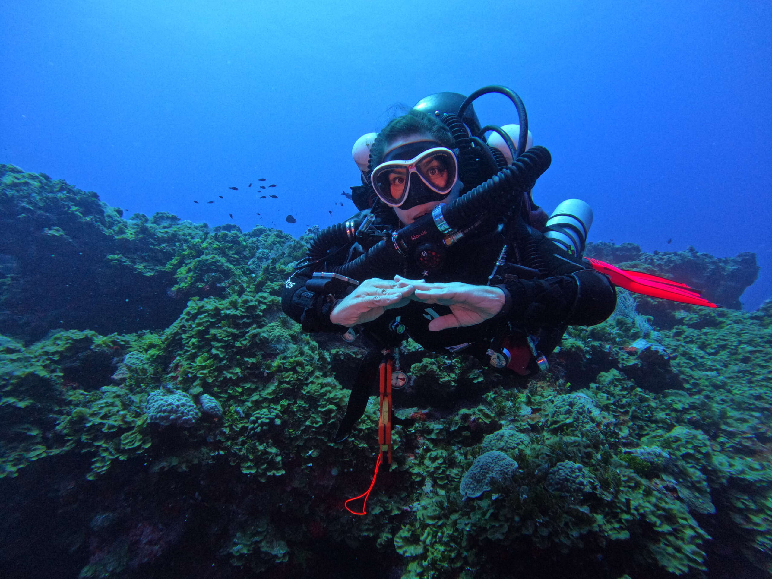 Underwater researchers explore 12-Mile Bank - Cayman Compass
