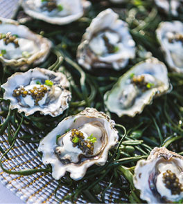 A culinary celebration - Cayman Compass