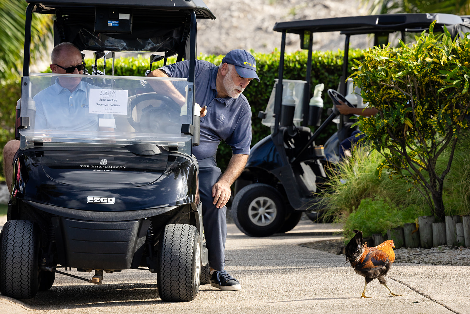 Cayman Cookout 2024 - Cayman Compass
