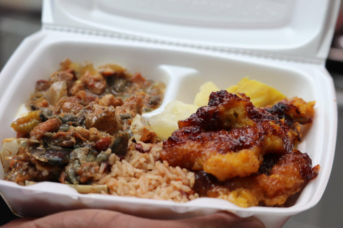 Stew Turtle, Swanky among new national symbols - Cayman Compass