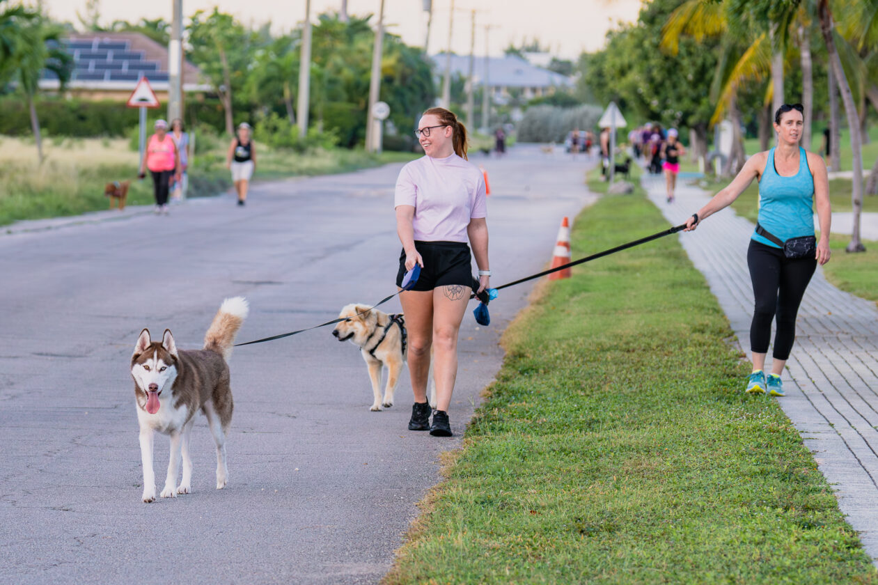 In photos: Paws-ative crowd at annual One Dog Jog - Cayman Compass