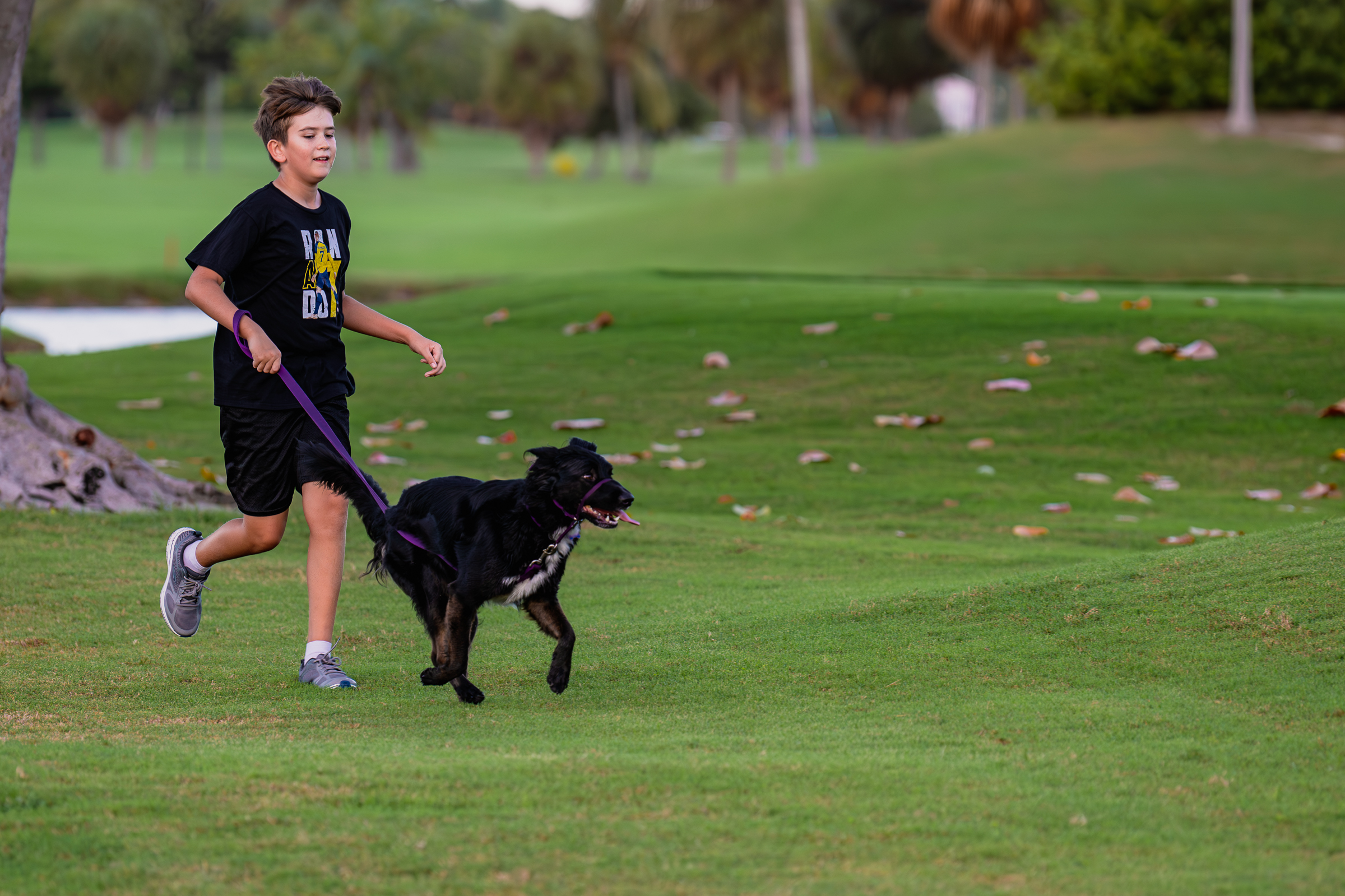 In photos: Paws-ative crowd at annual One Dog Jog - Cayman Compass