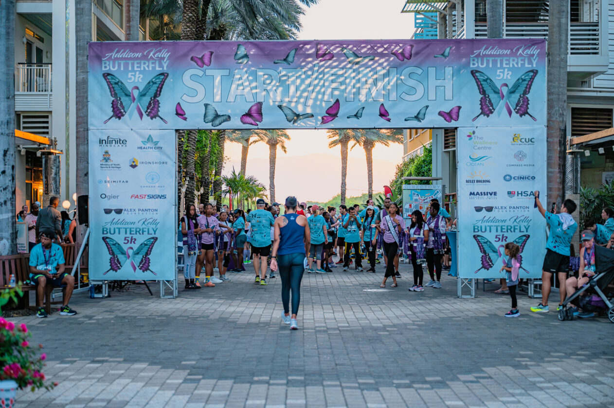 Hundreds shine light on mental health in annual Addison Kelly Butterfly ...