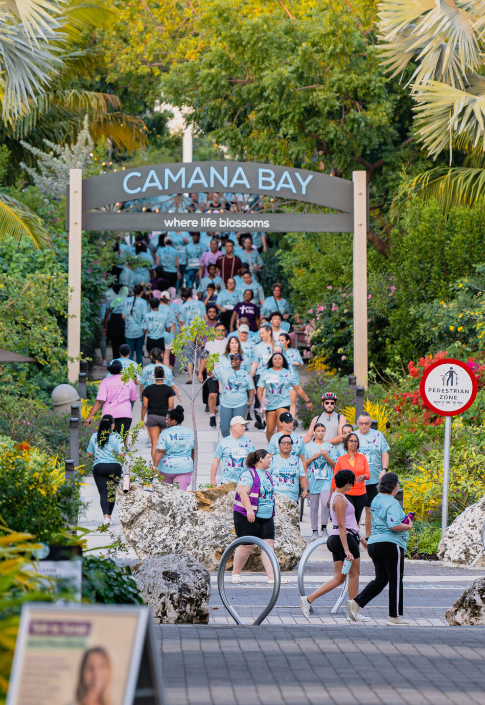 Hundreds shine light on mental health in annual Addison Kelly Butterfly ...