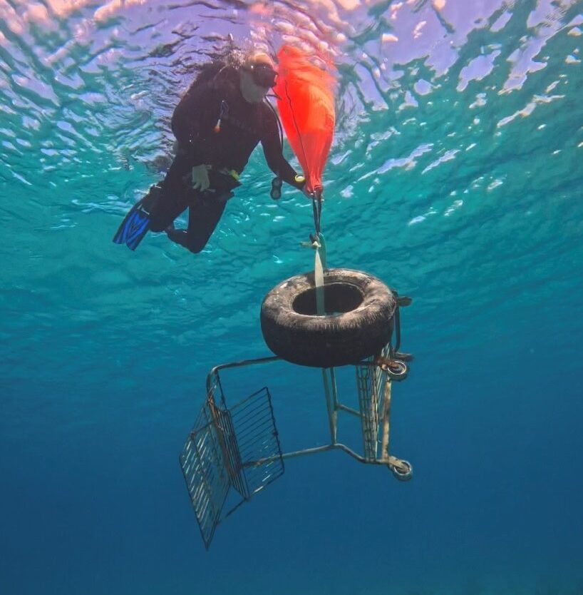 Dive community clears underwater storm debris - Cayman Compass