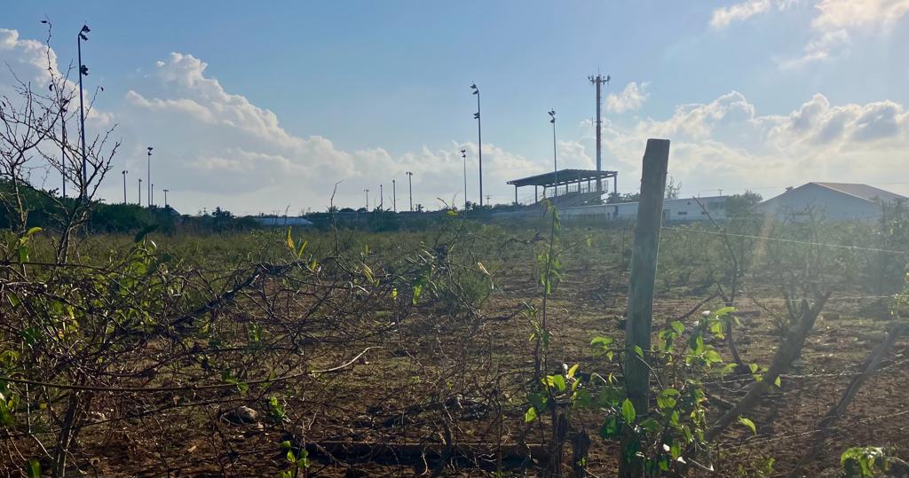 Retracing the steps of the football stadium shooter - Cayman Compass