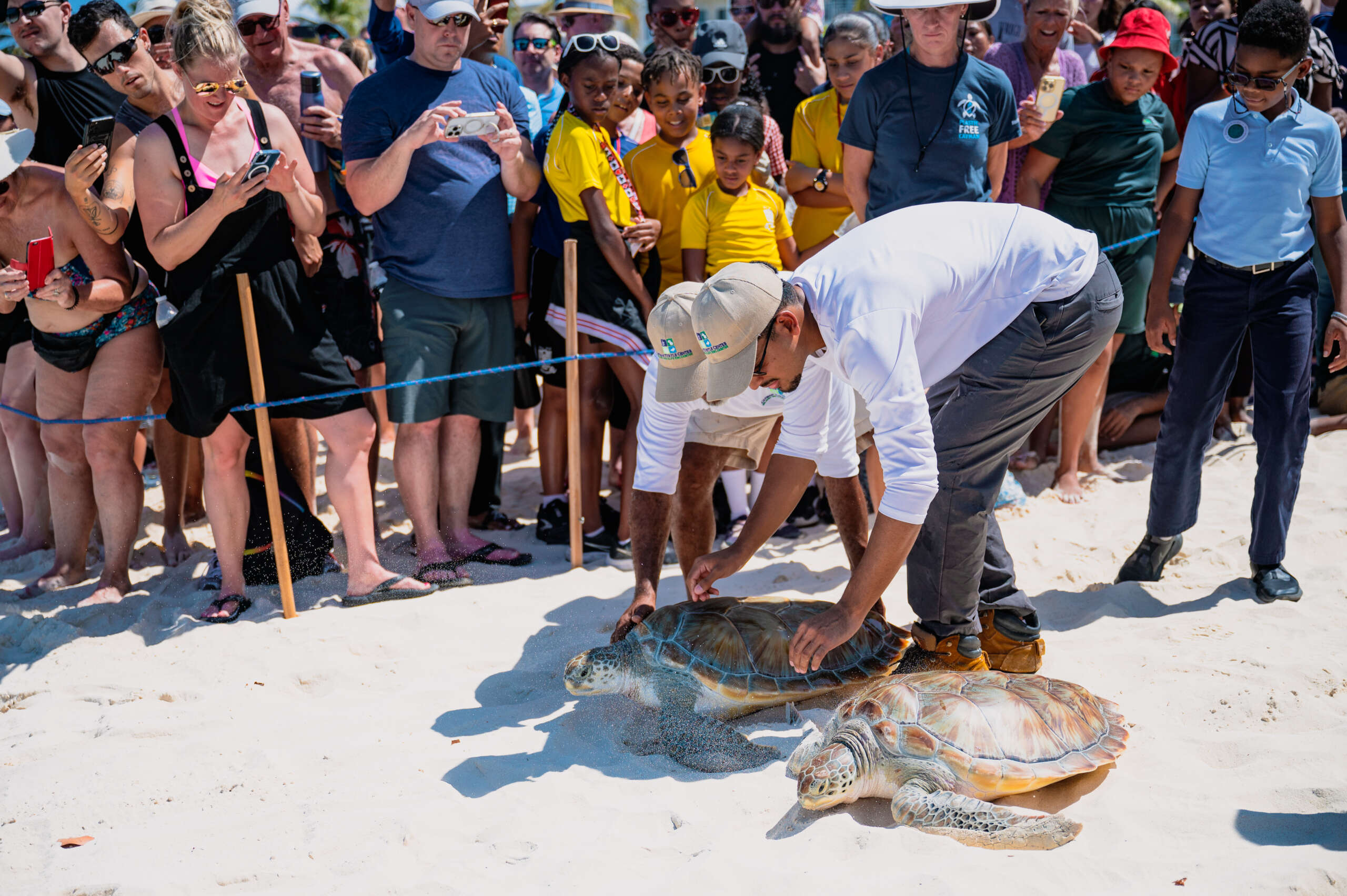 Earth Day Turtle Release-12 - Cayman Compass