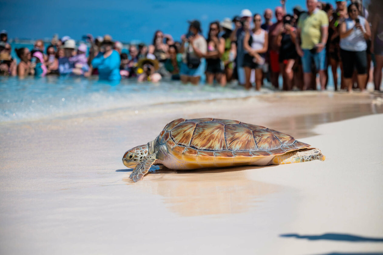 Year in Review: 2024 in pictures - Cayman Compass