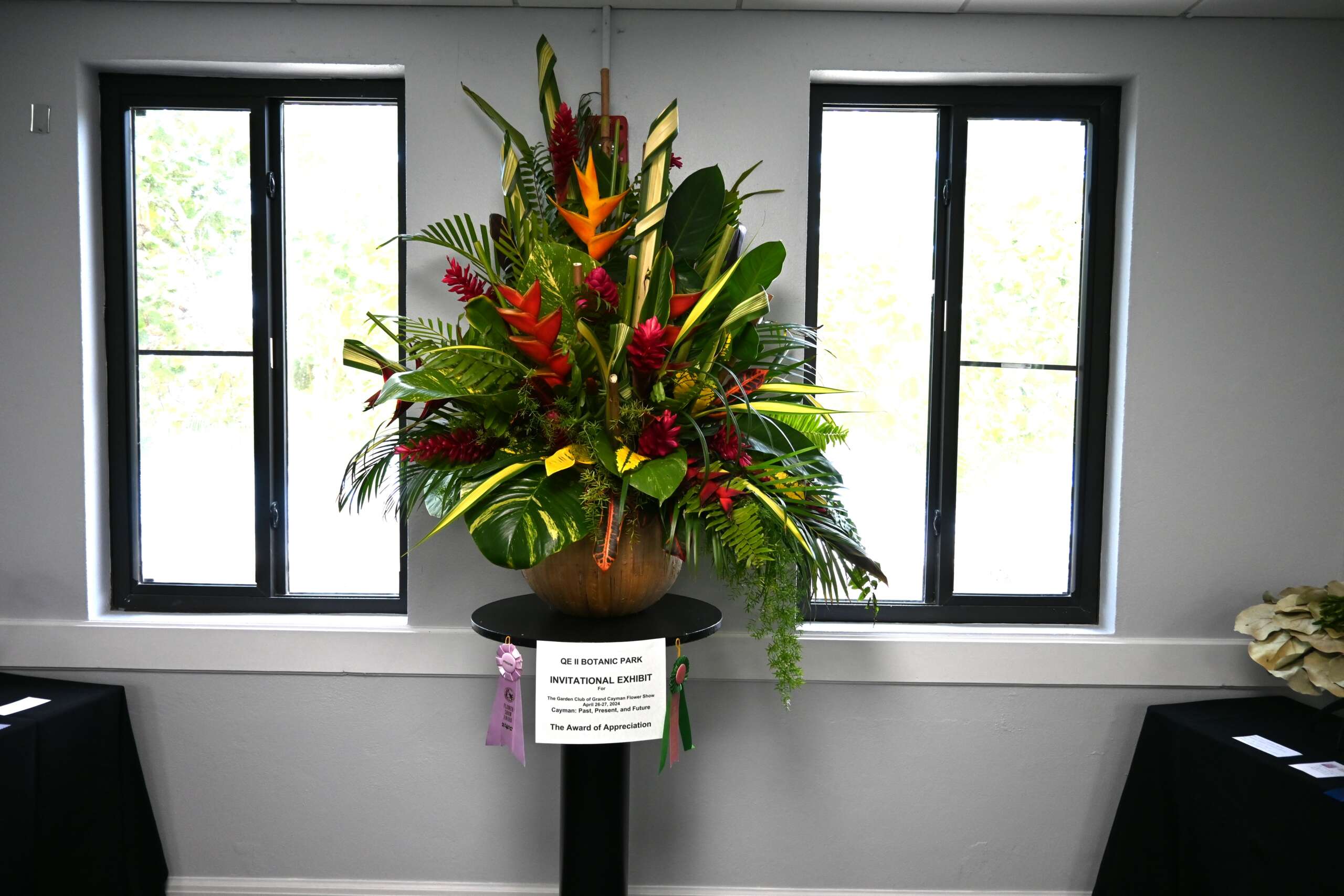 Garden Club's Flower Show shines light on environment - Cayman Compass