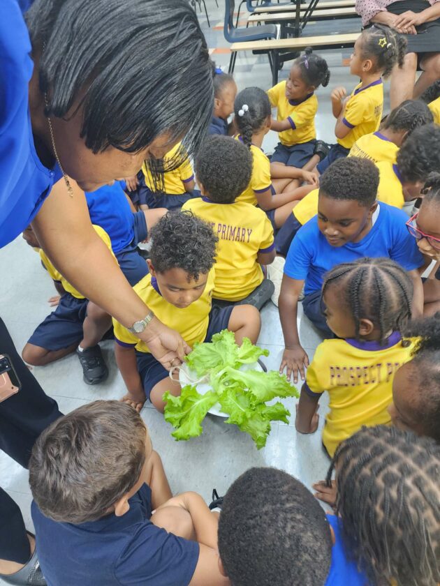 Prospect Primary students go green for Earth Day - Cayman Compass