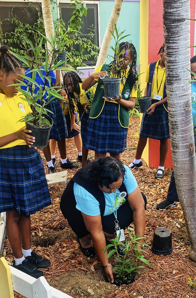 Prospect Primary 5 - Cayman Compass