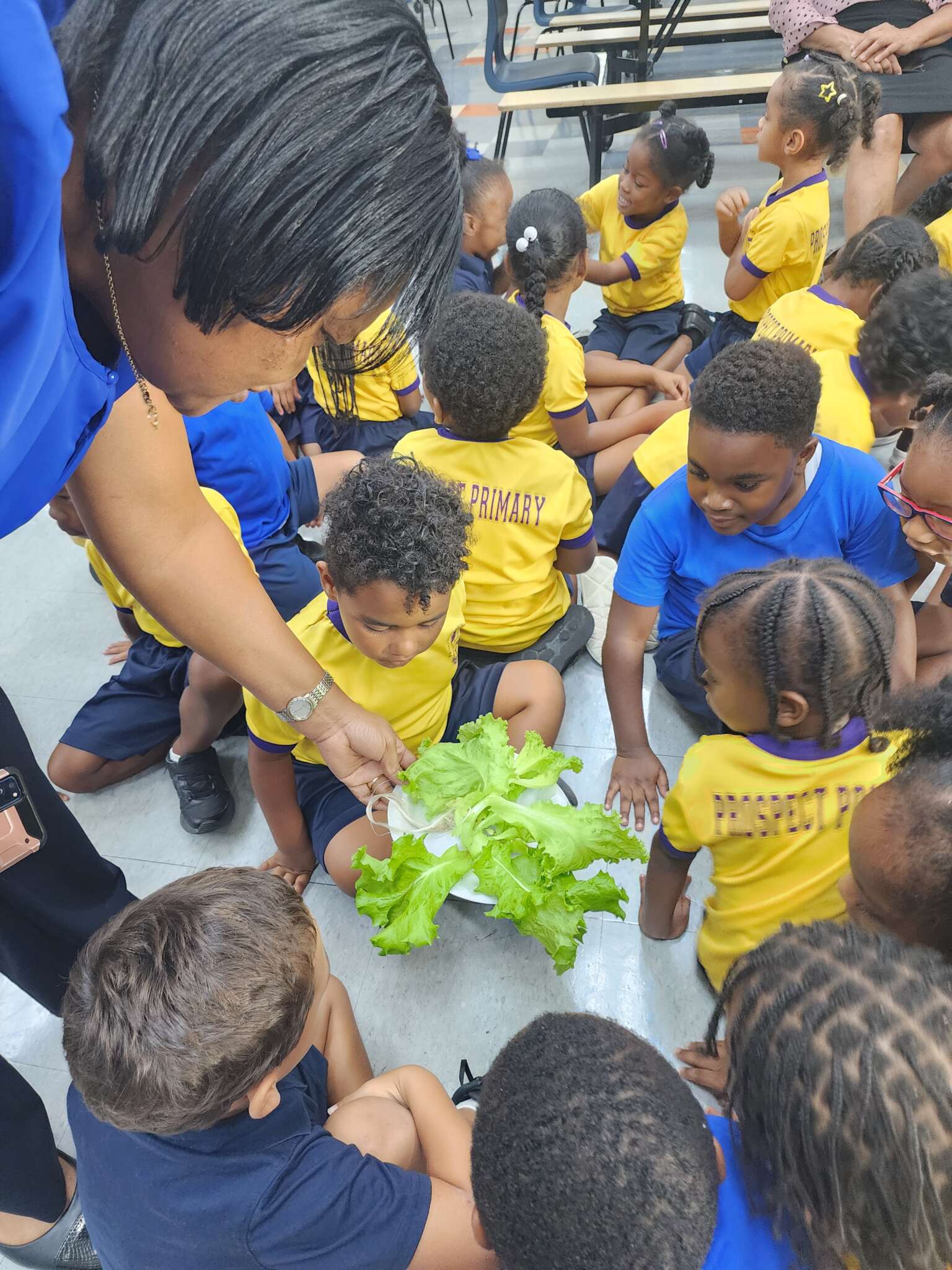 Prospect Primary students go green for Earth Day - Cayman Compass
