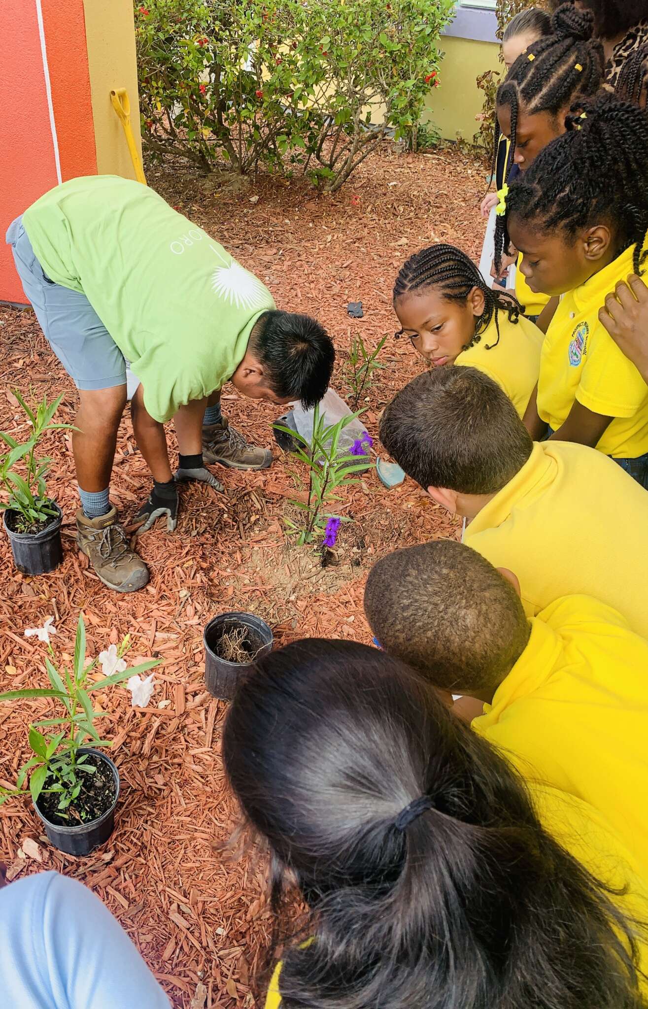 Prospect Primary students go green for Earth Day - Cayman Compass