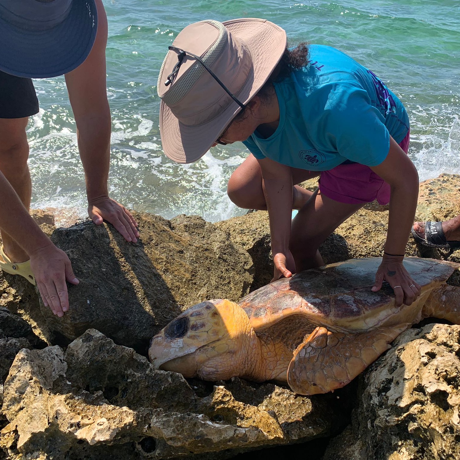 Fishermen help rescue trapped loggerhead turtle - Cayman Compass