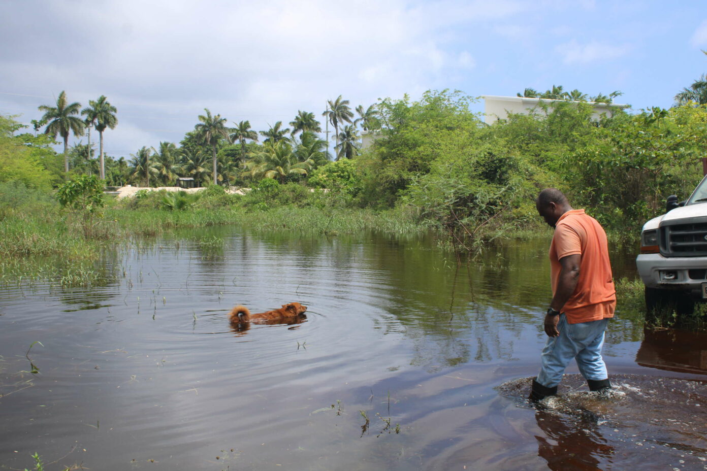Flooding 2024 06 11 001 - Cayman Compass