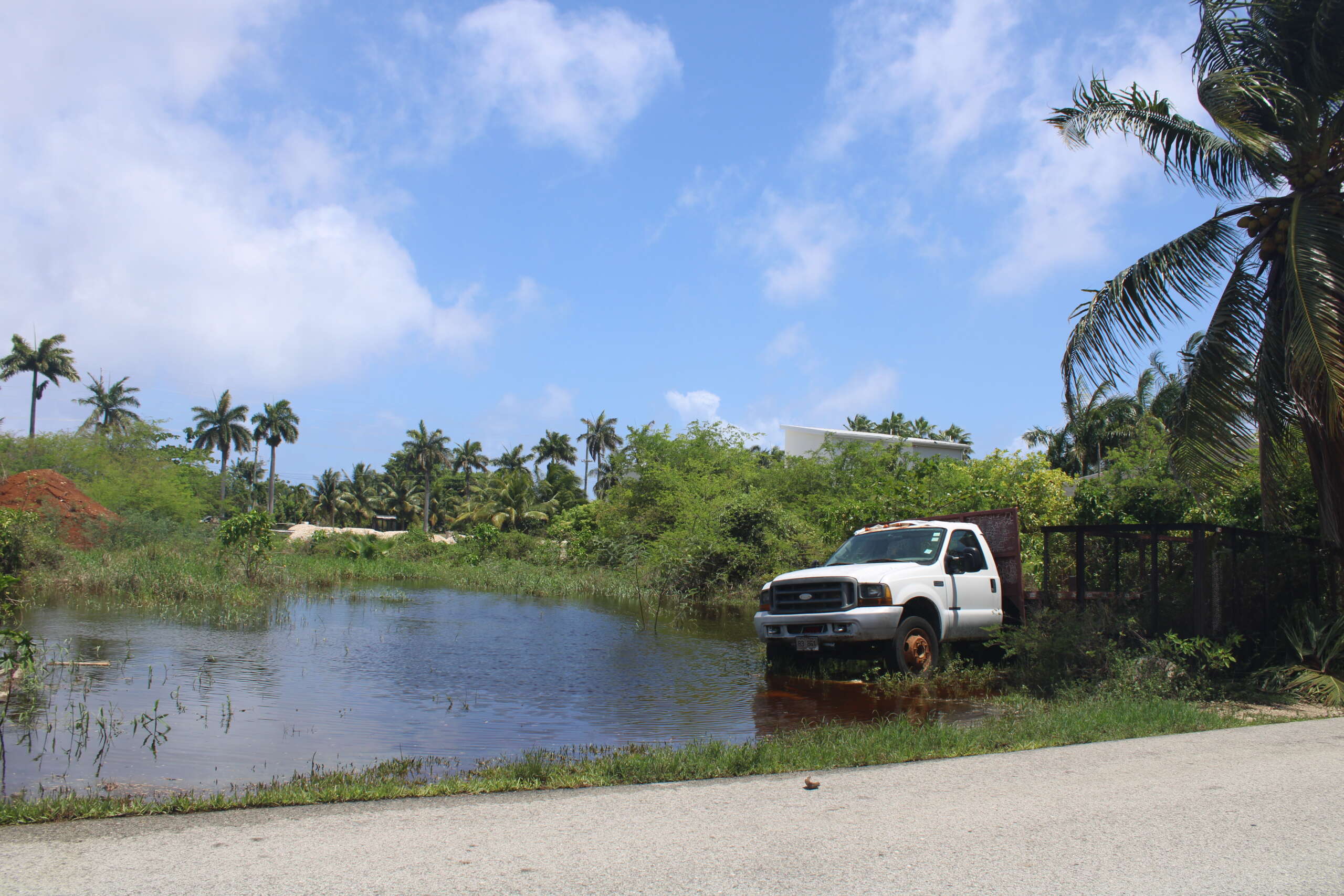 Flooding 2024 06 11 006 - Cayman Compass