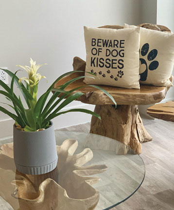 What's new in the 345 - Cayman Compass