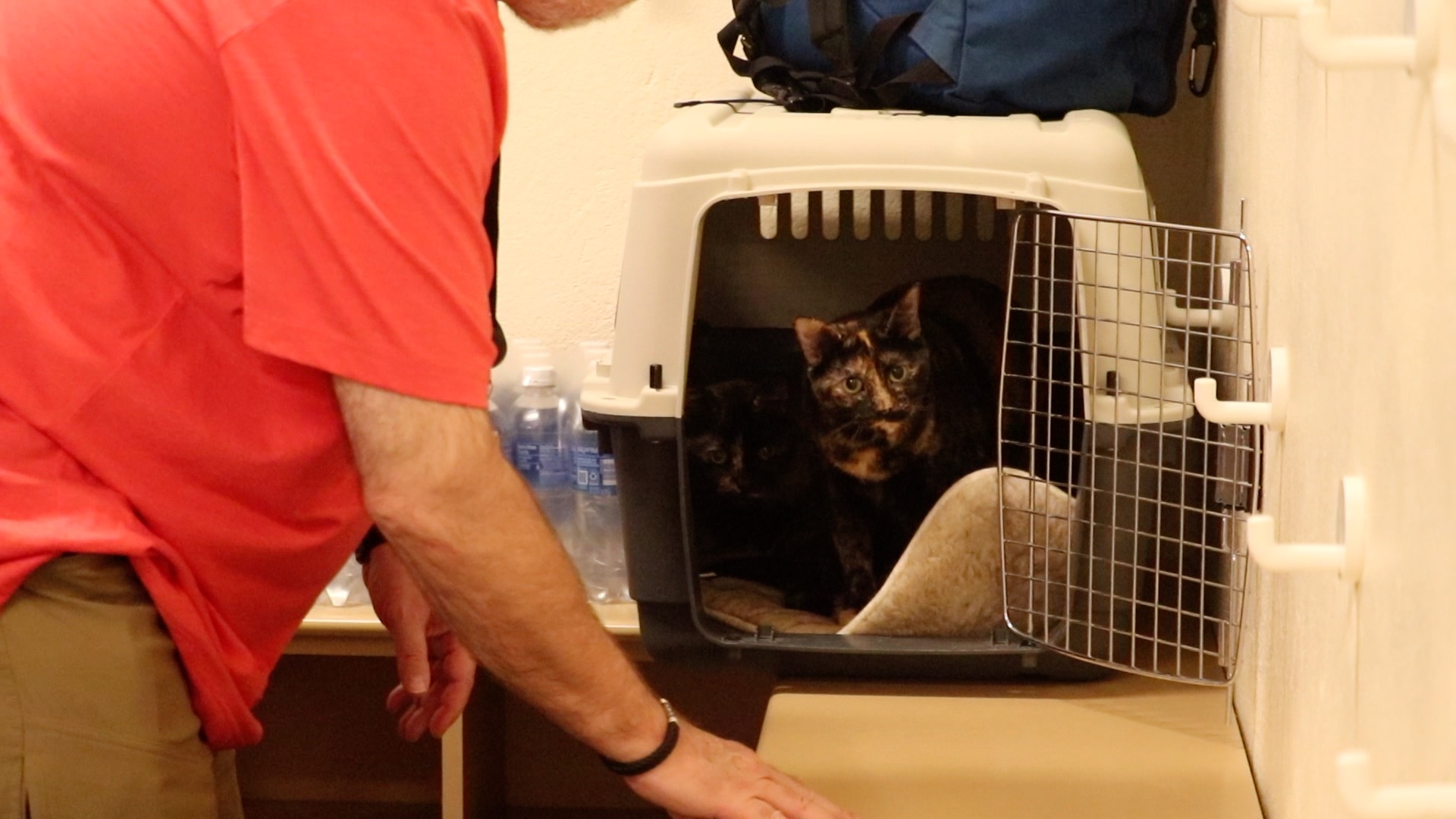 In photos: Hurricane Beryl hits Cayman - Cayman Compass