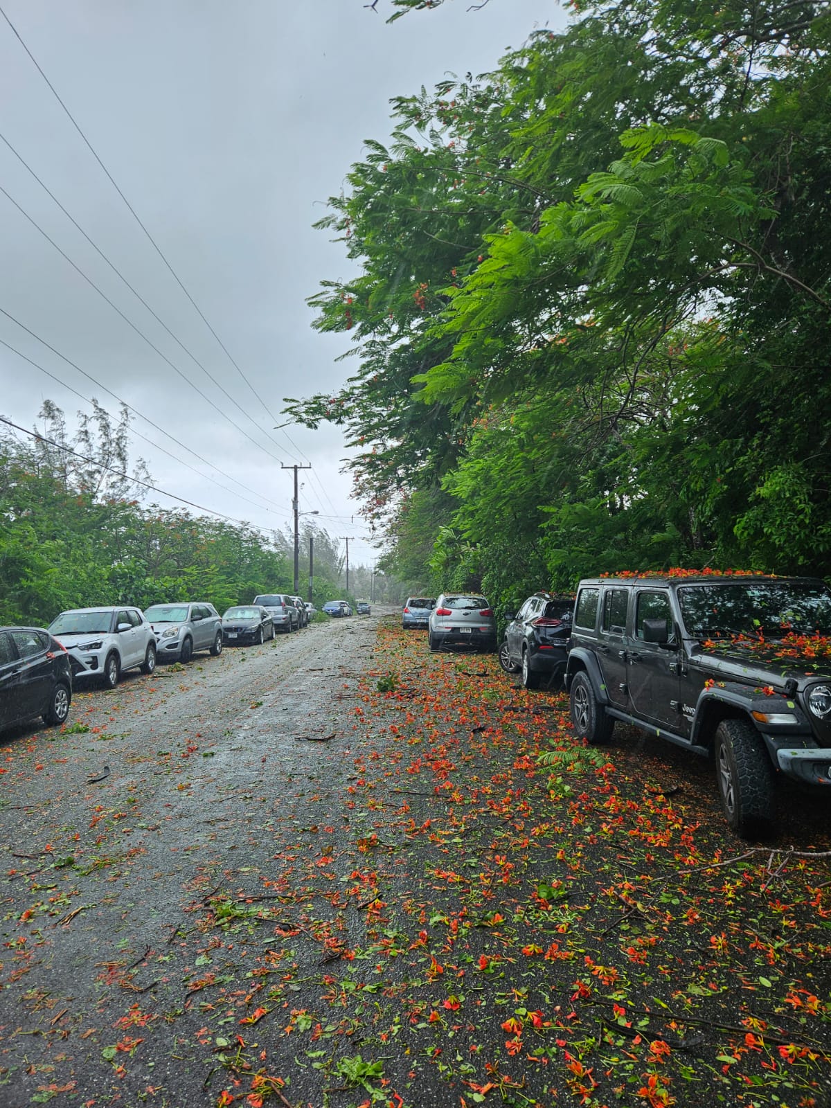 In photos: Hurricane Beryl hits Cayman - Cayman Compass