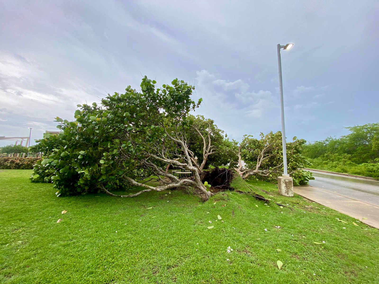 In photos: Hurricane Beryl hits Cayman - Cayman Compass
