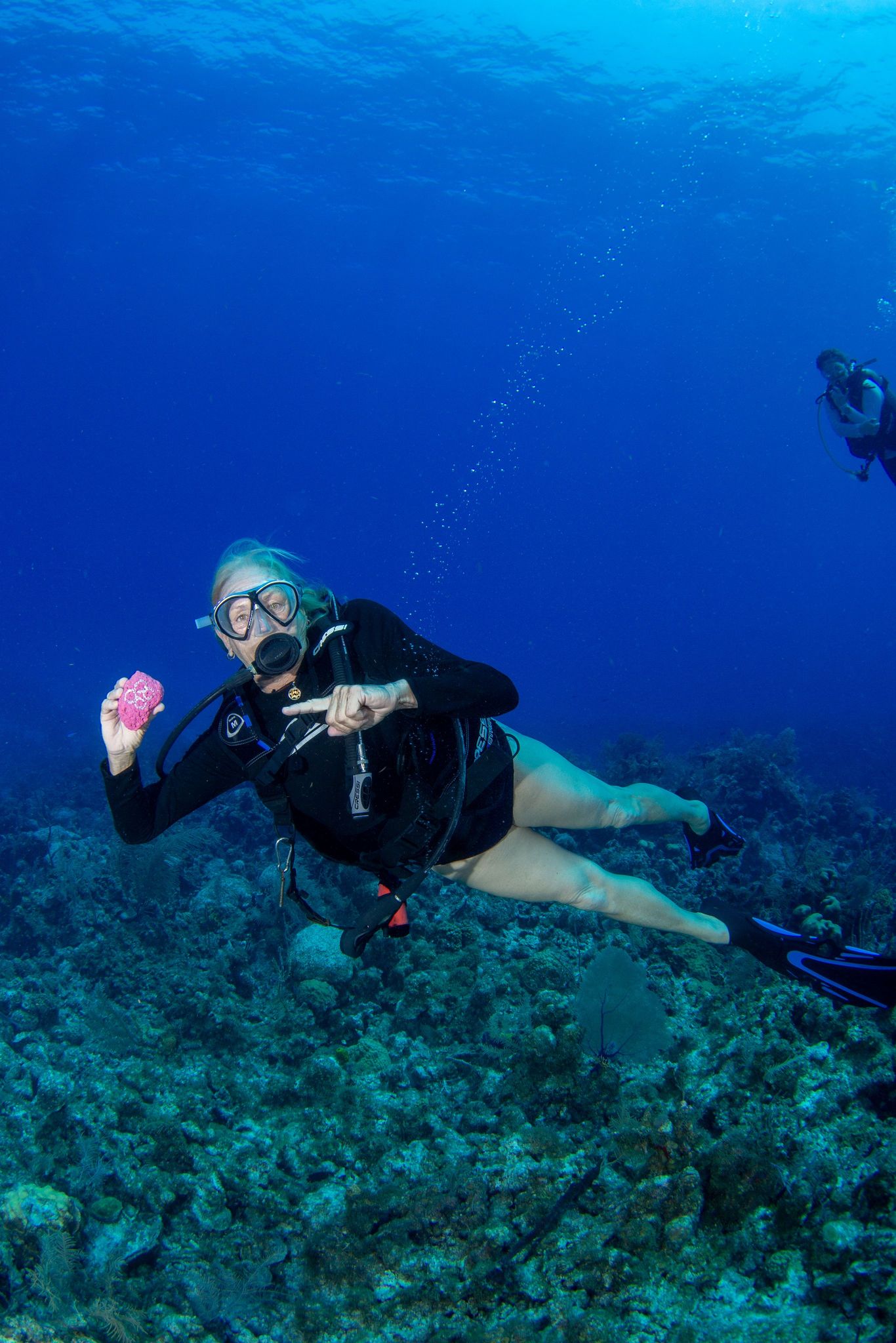 More than 80 divers make a splash for Women's Dive Day - Cayman Compass