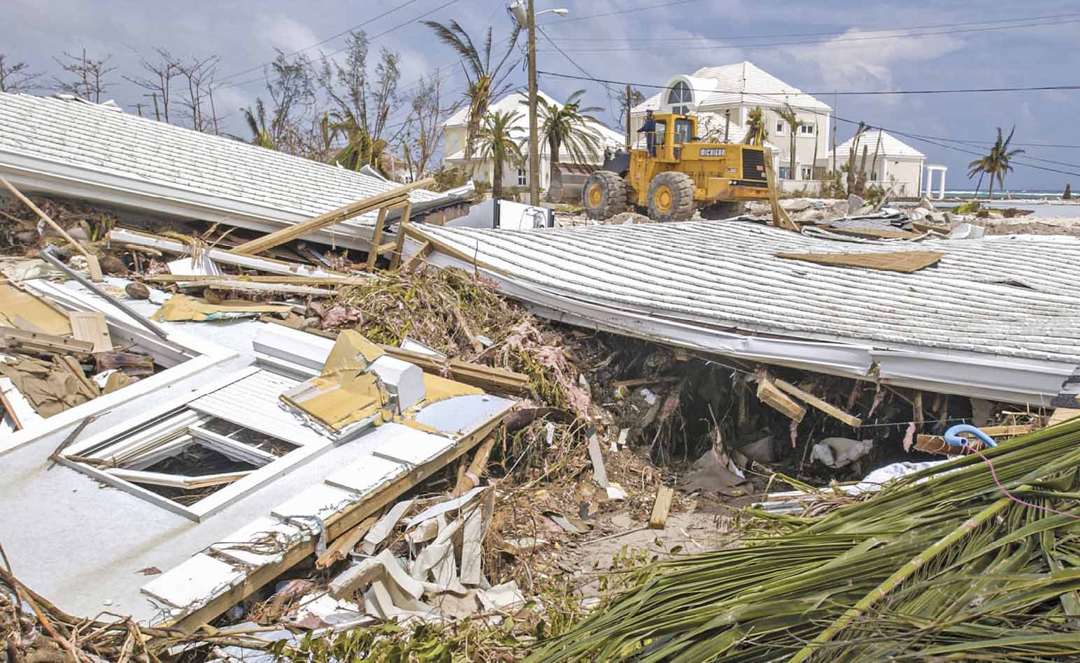 Remembering Ivan: Massive clean-up - Cayman Compass