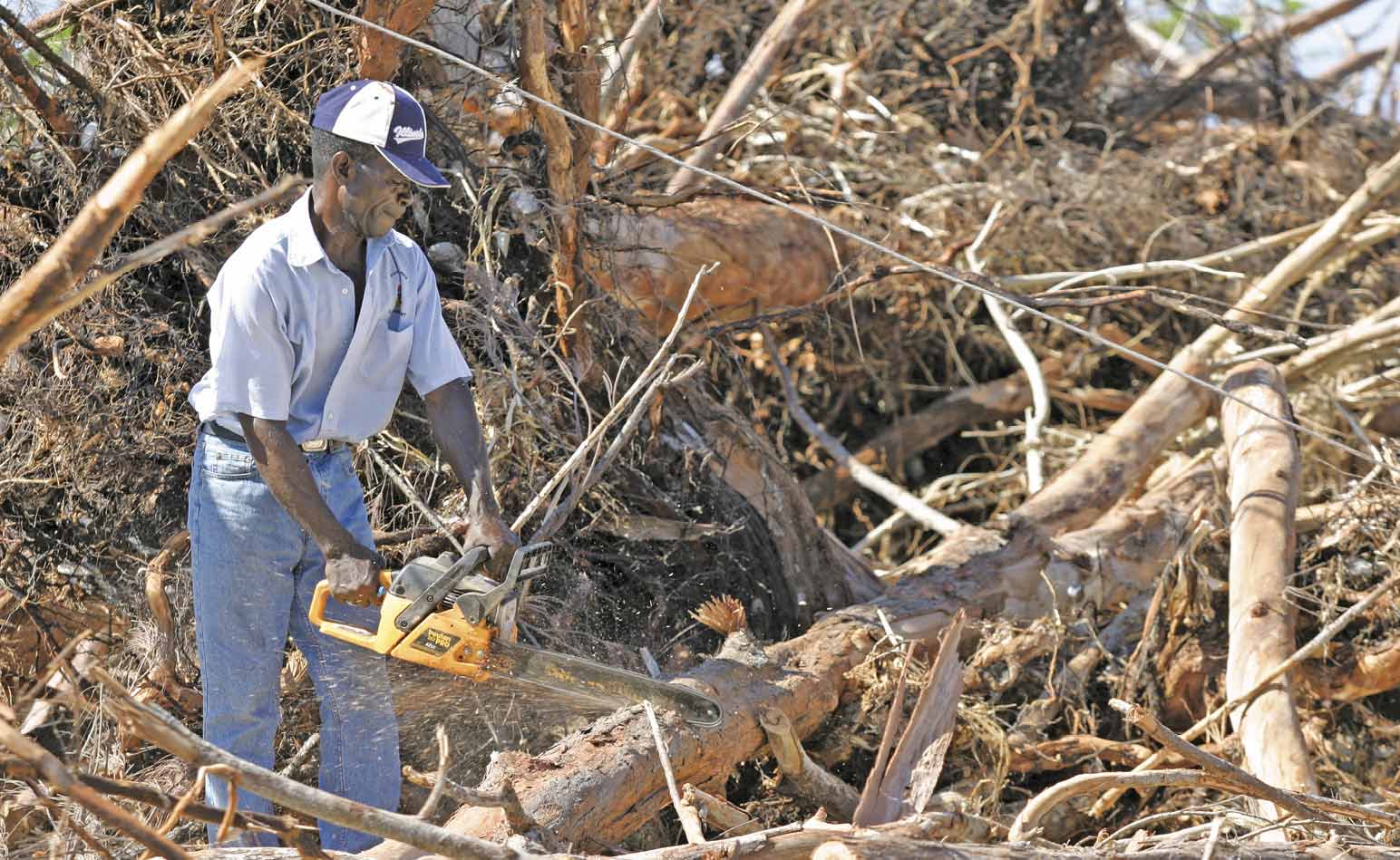 Remembering Ivan: Massive clean-up - Cayman Compass