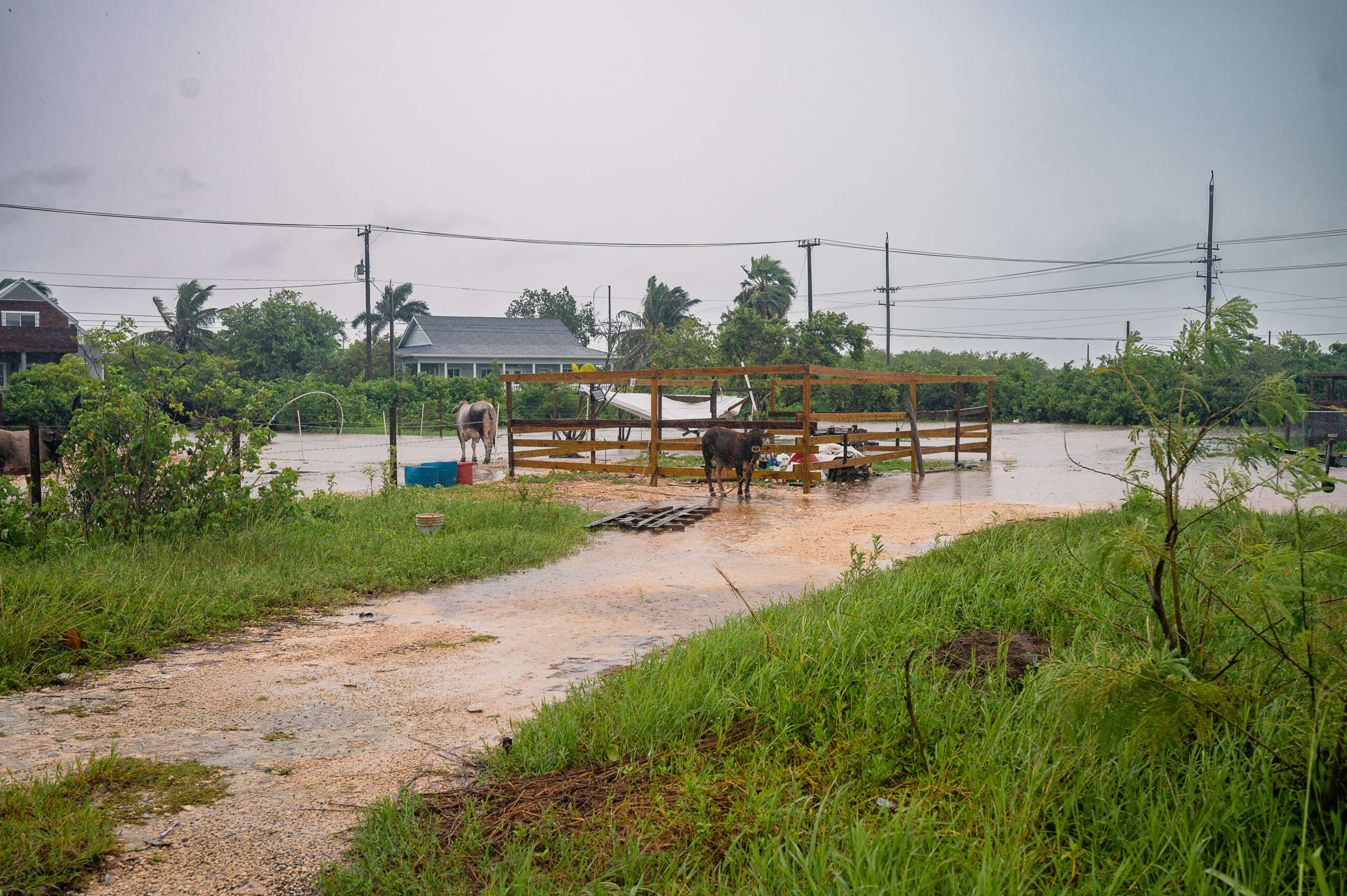 Cayman confronts floods from Helene, as tropical storm warning lifted ...