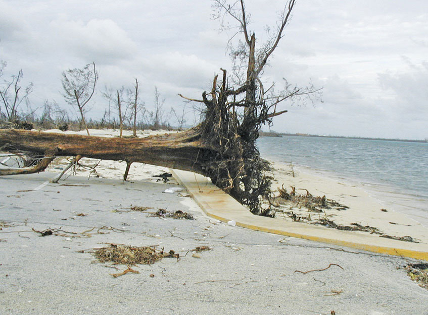 Remembering Ivan: Utter devastation - Cayman Compass