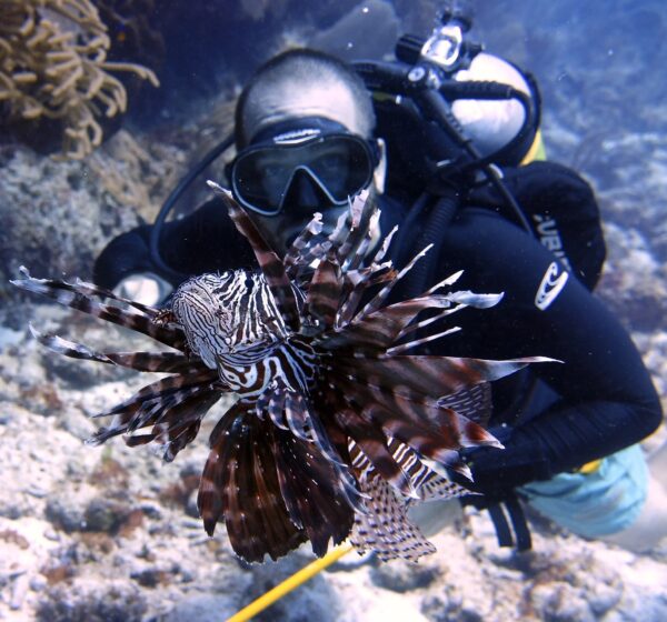 CULL lionfish tournament next month - Cayman Compass