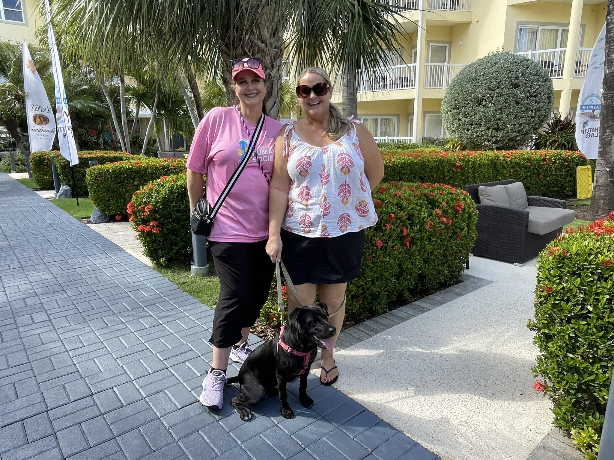 Humane Society celebrates 51st anniversary with puppy power - Cayman ...