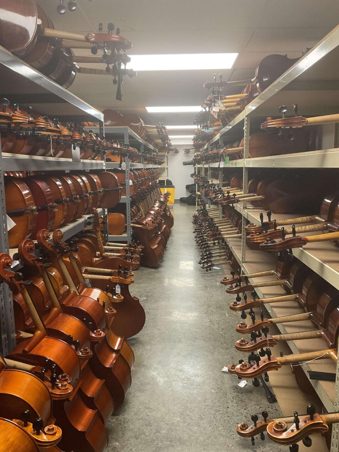 Young musician turns artisan, training as Cayman's first luthier ...