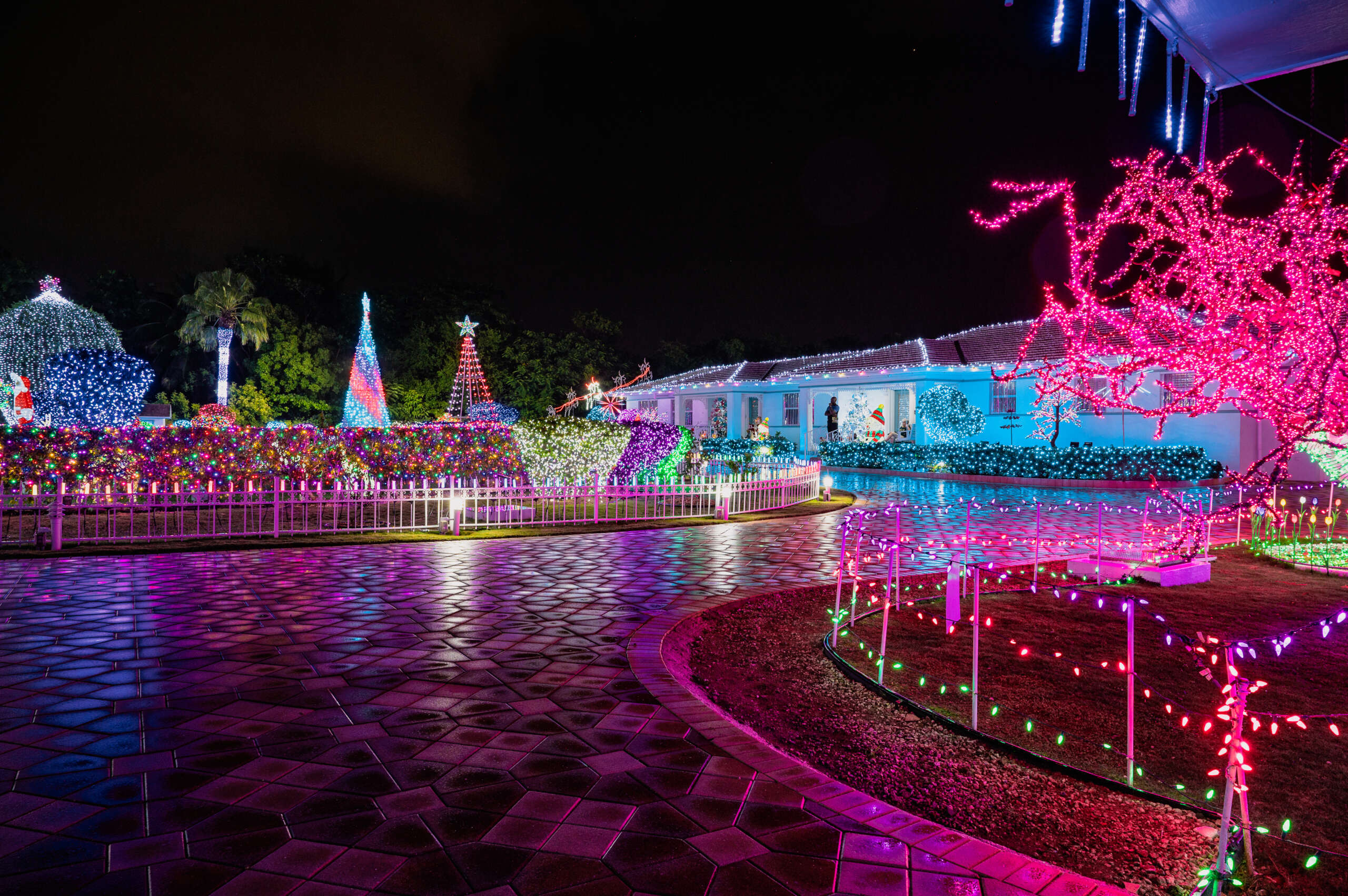 Cayman all a-twinkle with Christmas lights - Cayman Compass
