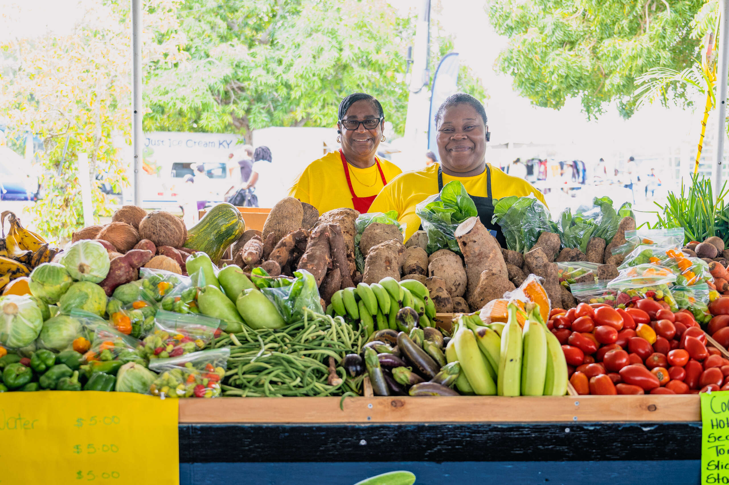 56th Annual Agriculture Show to promote food security - Cayman Compass