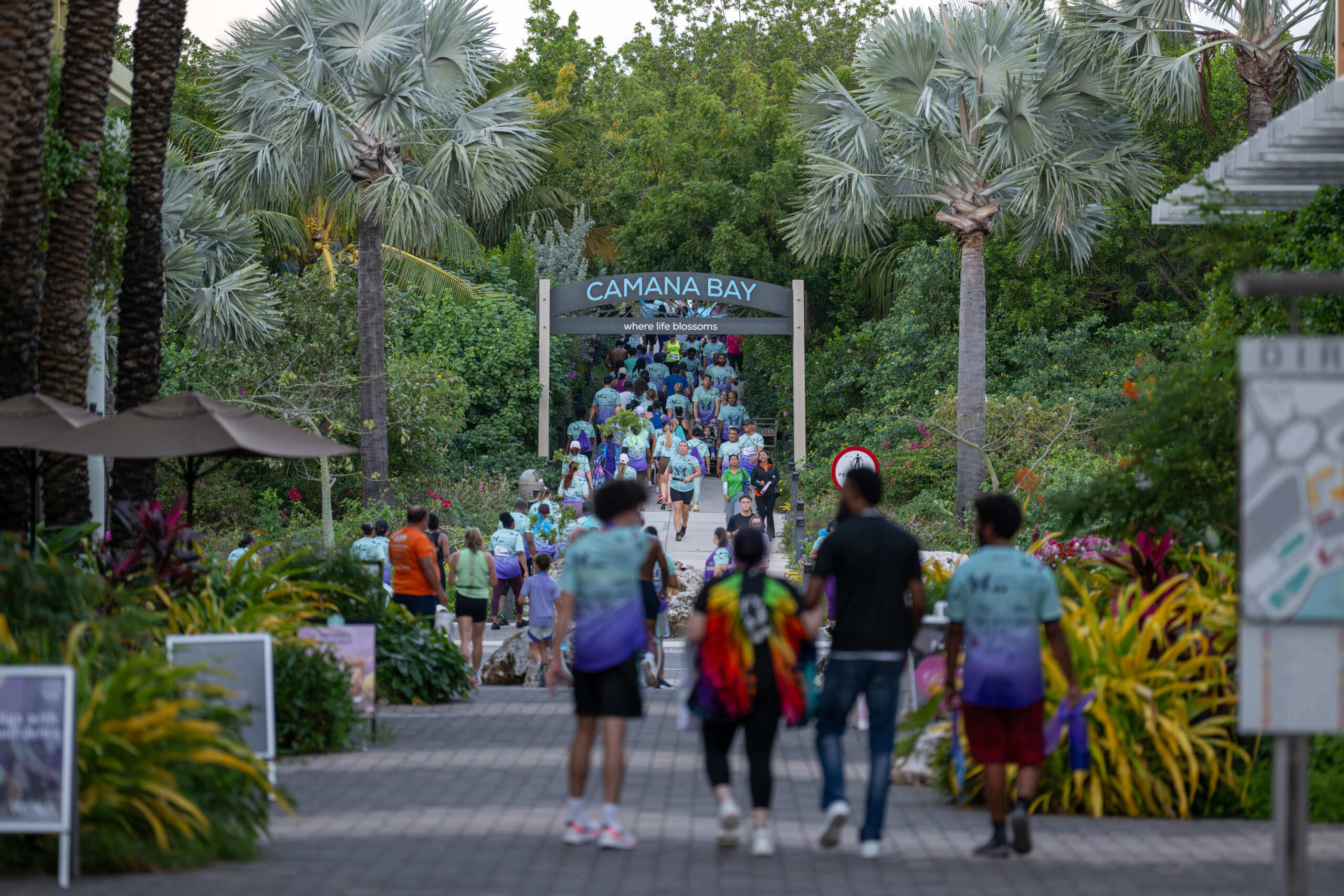 Photo special: Record turnout for Addison Kelly 5k - Cayman Compass