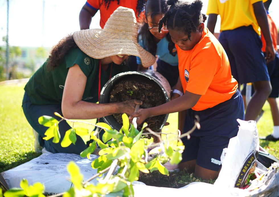 Programme Plants 710 Native Trees - Cayman Compass