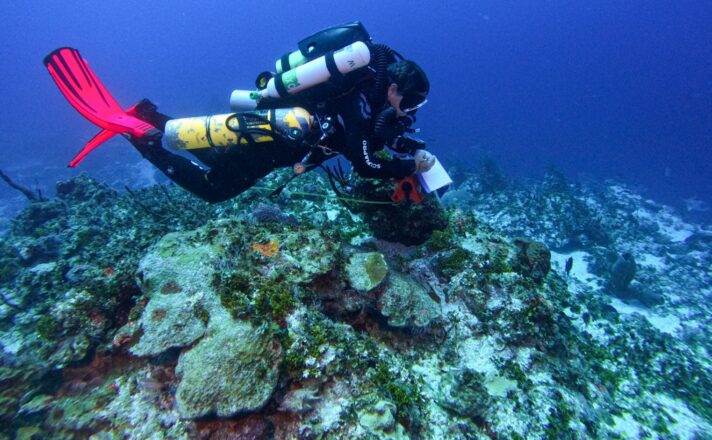 Cayman Compass - Cayman Islands' most-trusted news source