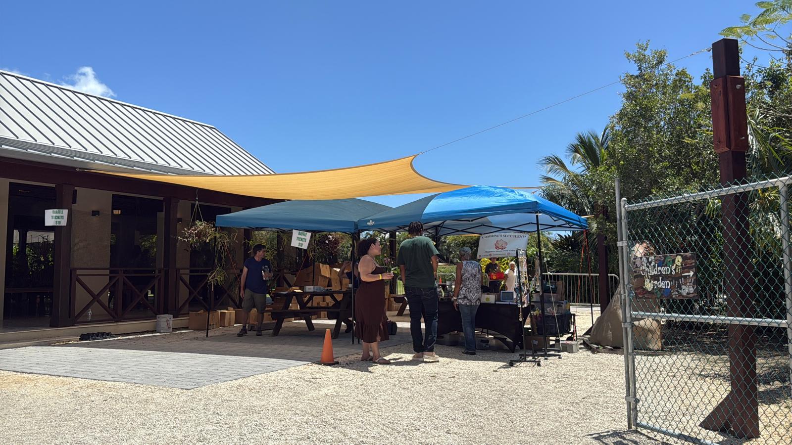 Orchid show attracts appreciative crowds - Cayman Compass