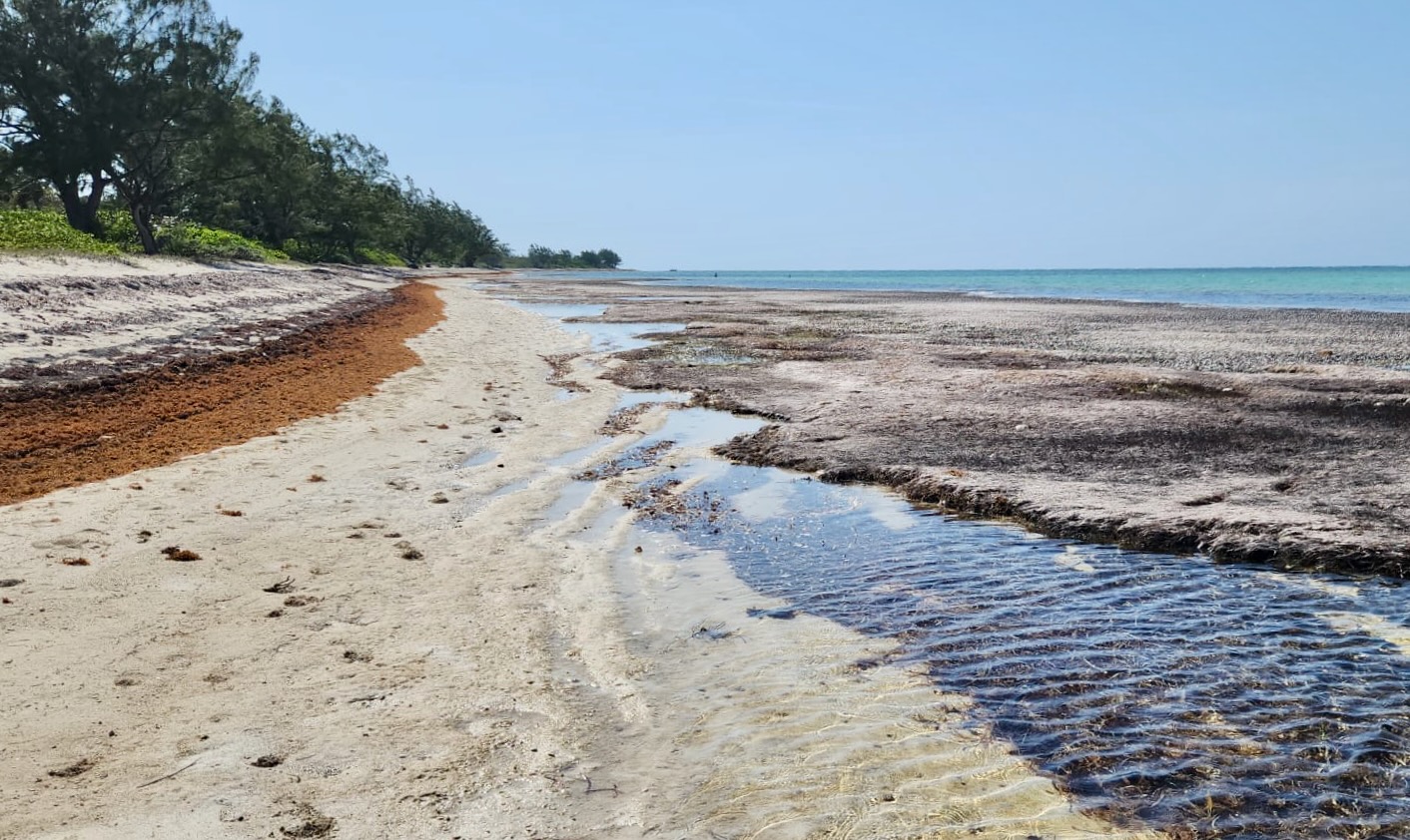 Low tides and striking scenes on Cayman's coast - Cayman Compass