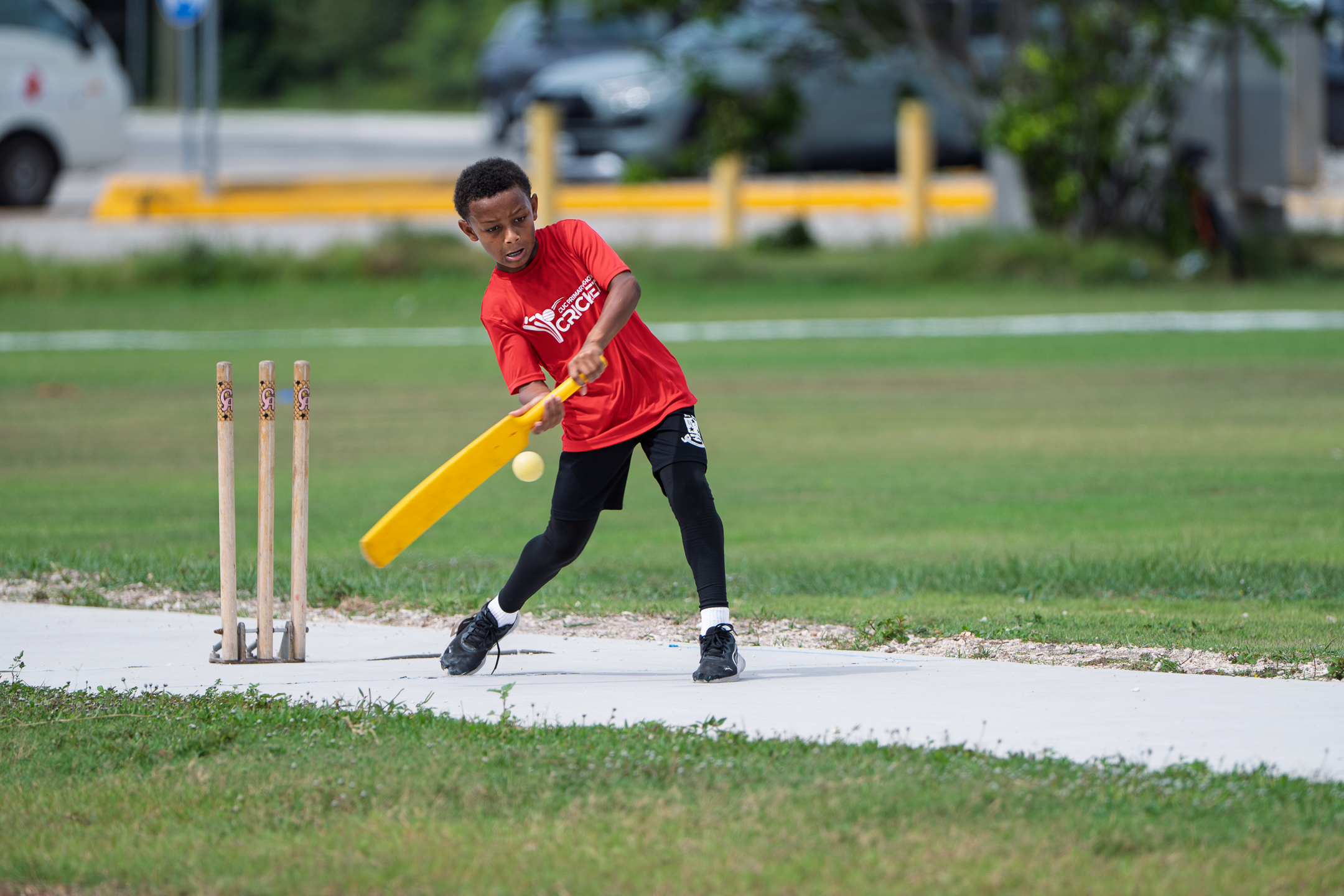 St. Ignatius and Island Primary prevail in primary school cricket ...