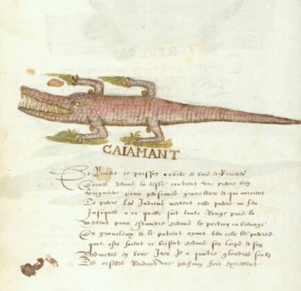 How Cayman got its current name - Cayman Compass