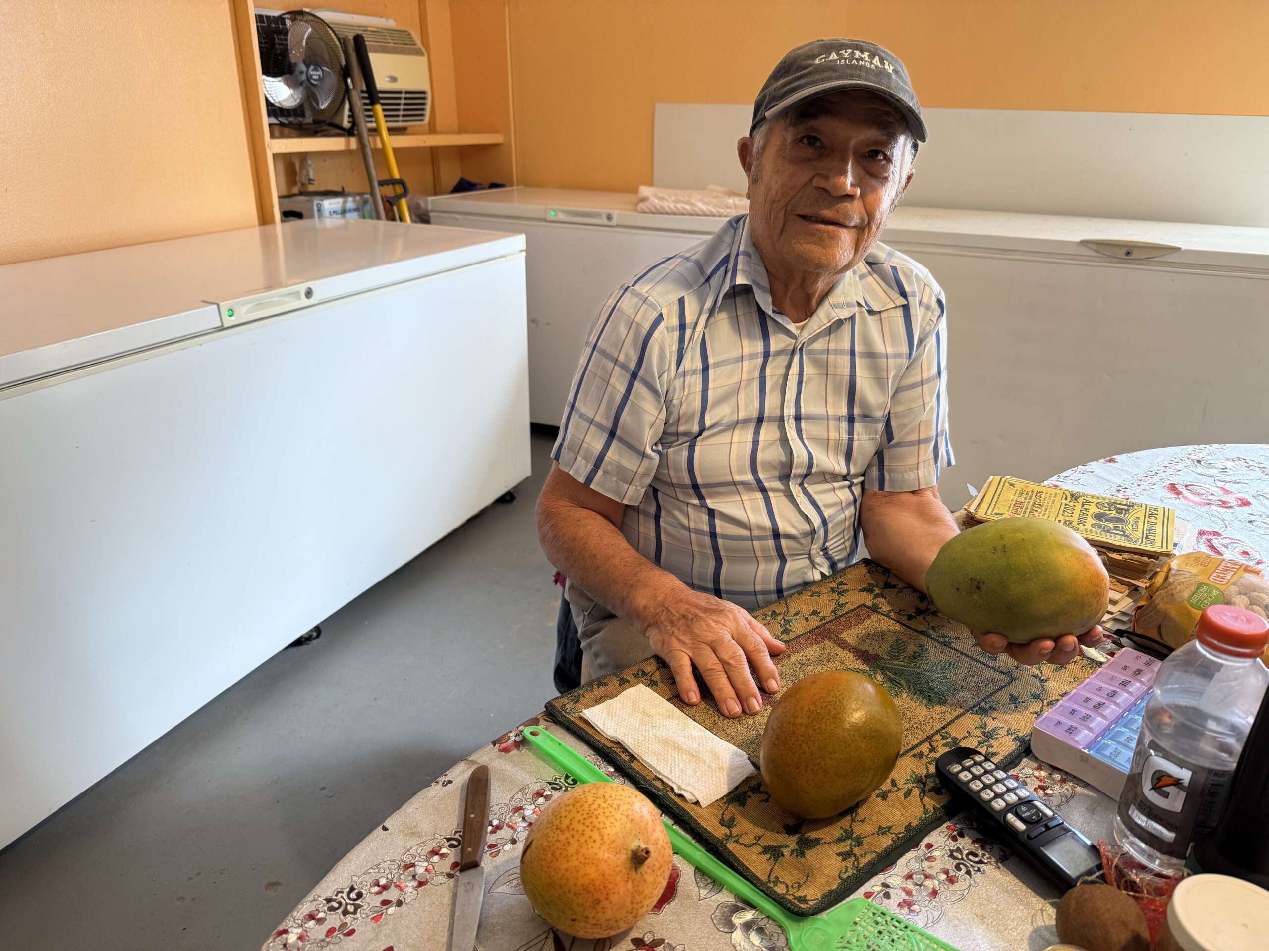 Cayman farmers expect small mango harvest - Cayman Compass