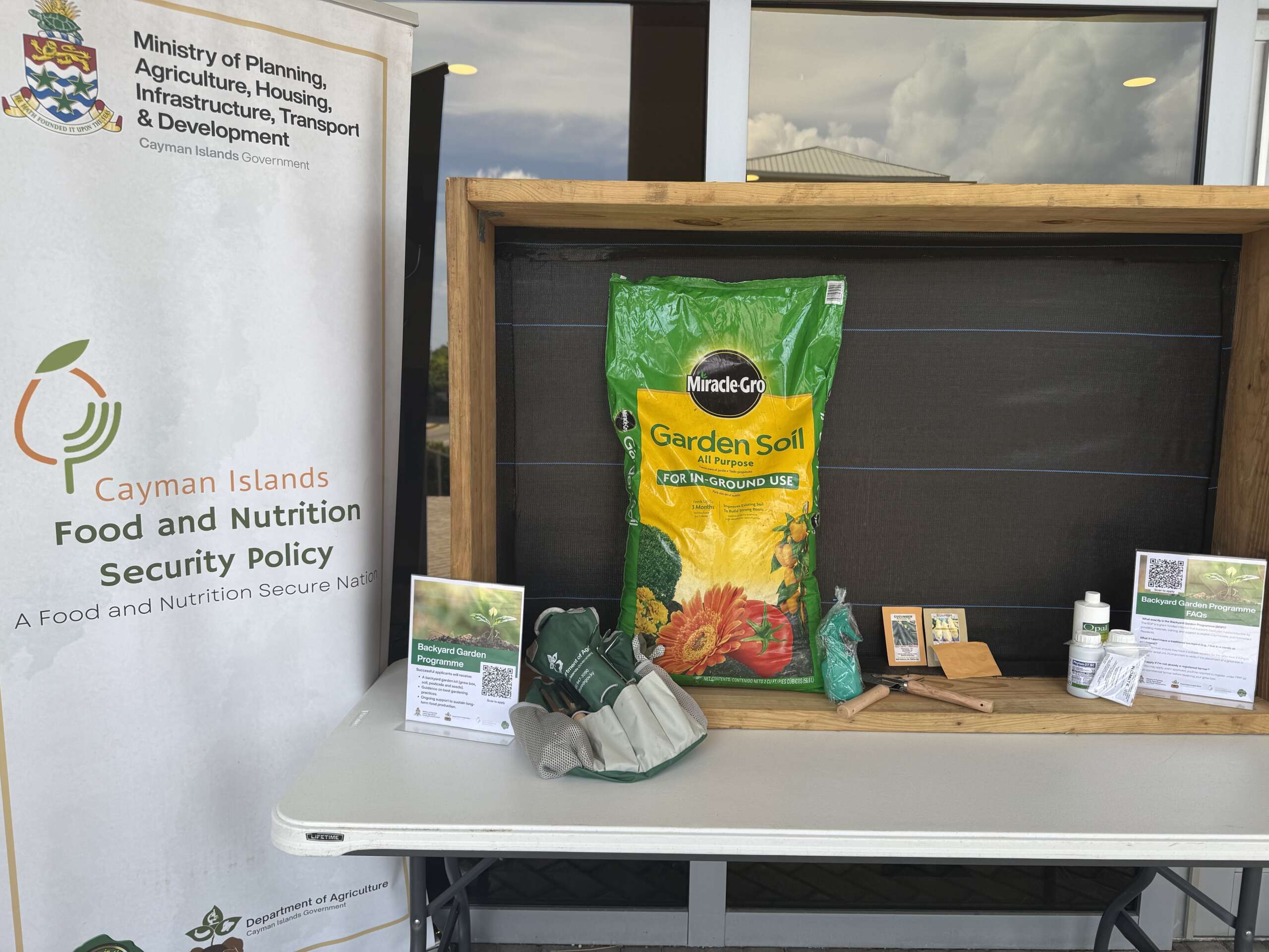 Government launches backyard garden programme - Cayman Compass