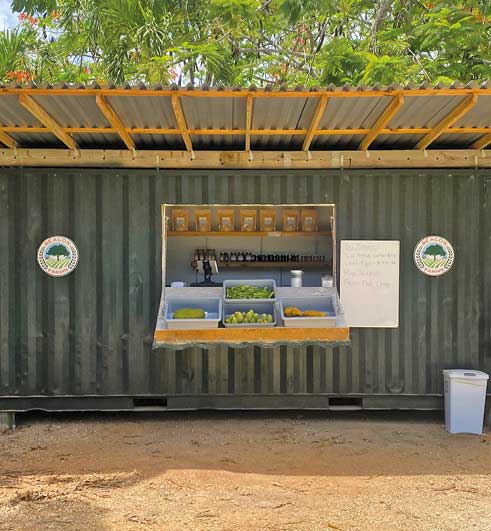 Spreading love at Beacon Farms - Cayman Compass