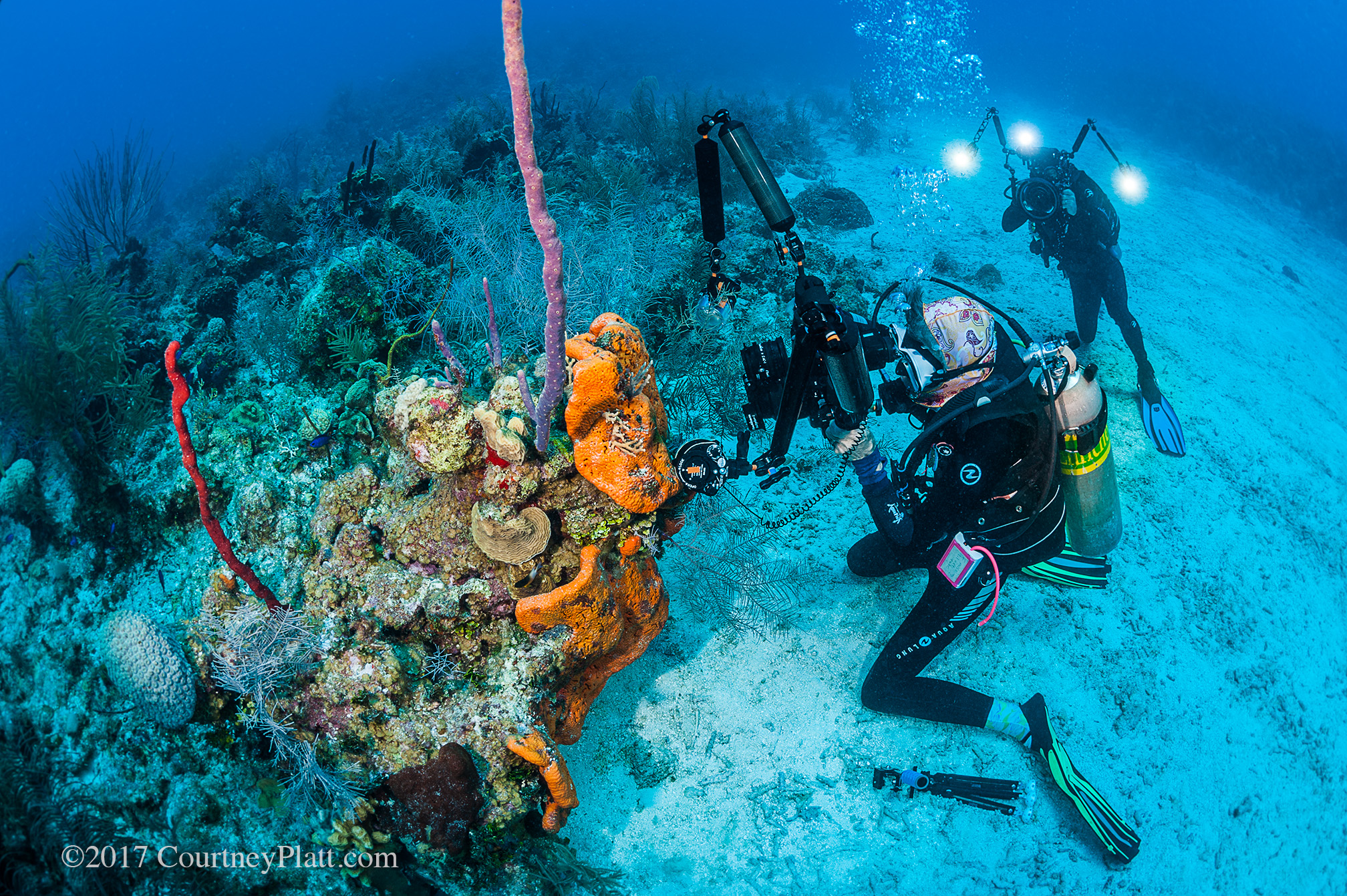 Local photographers feeling 'lost' over closure of Cathy Church's ...