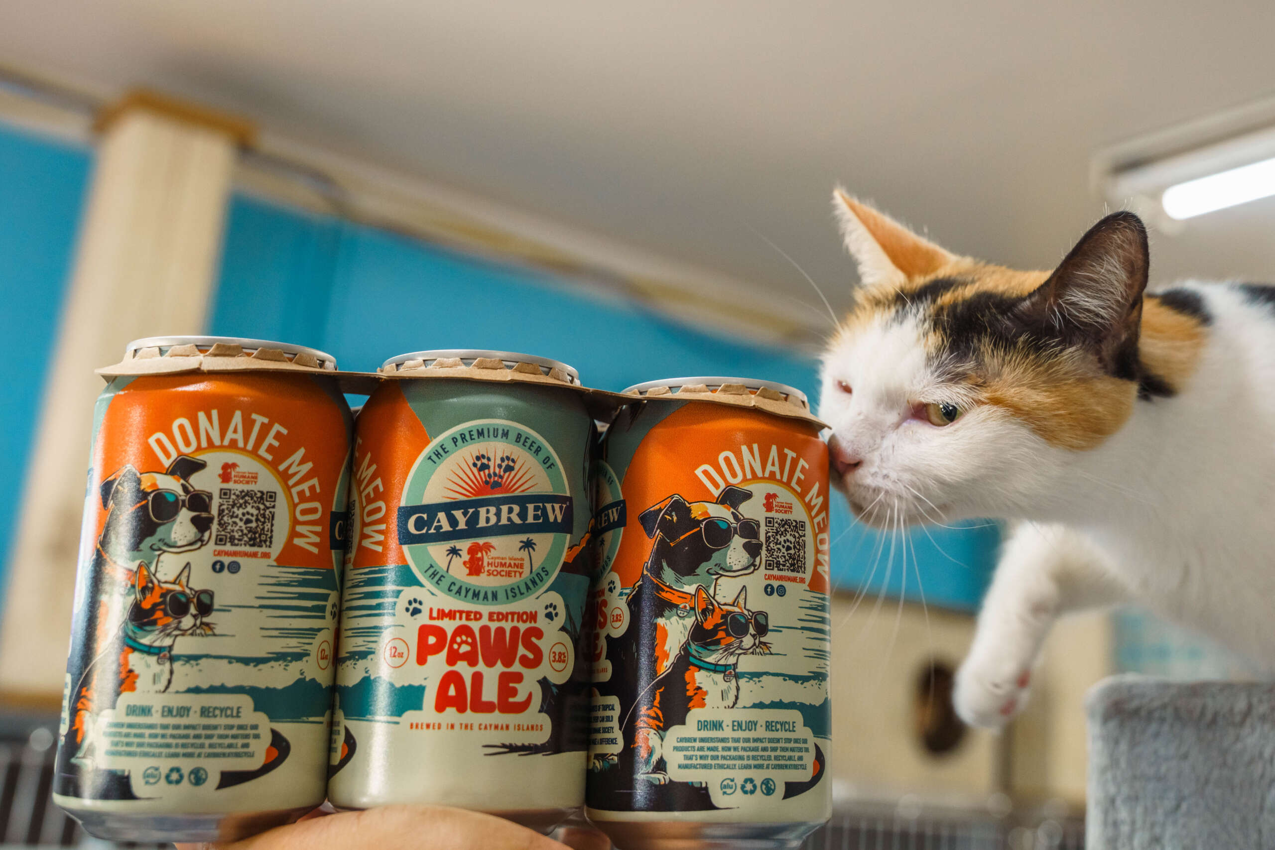 Caybrew unleashes Paws Ale to benefit the Humane Society - Cayman Compass